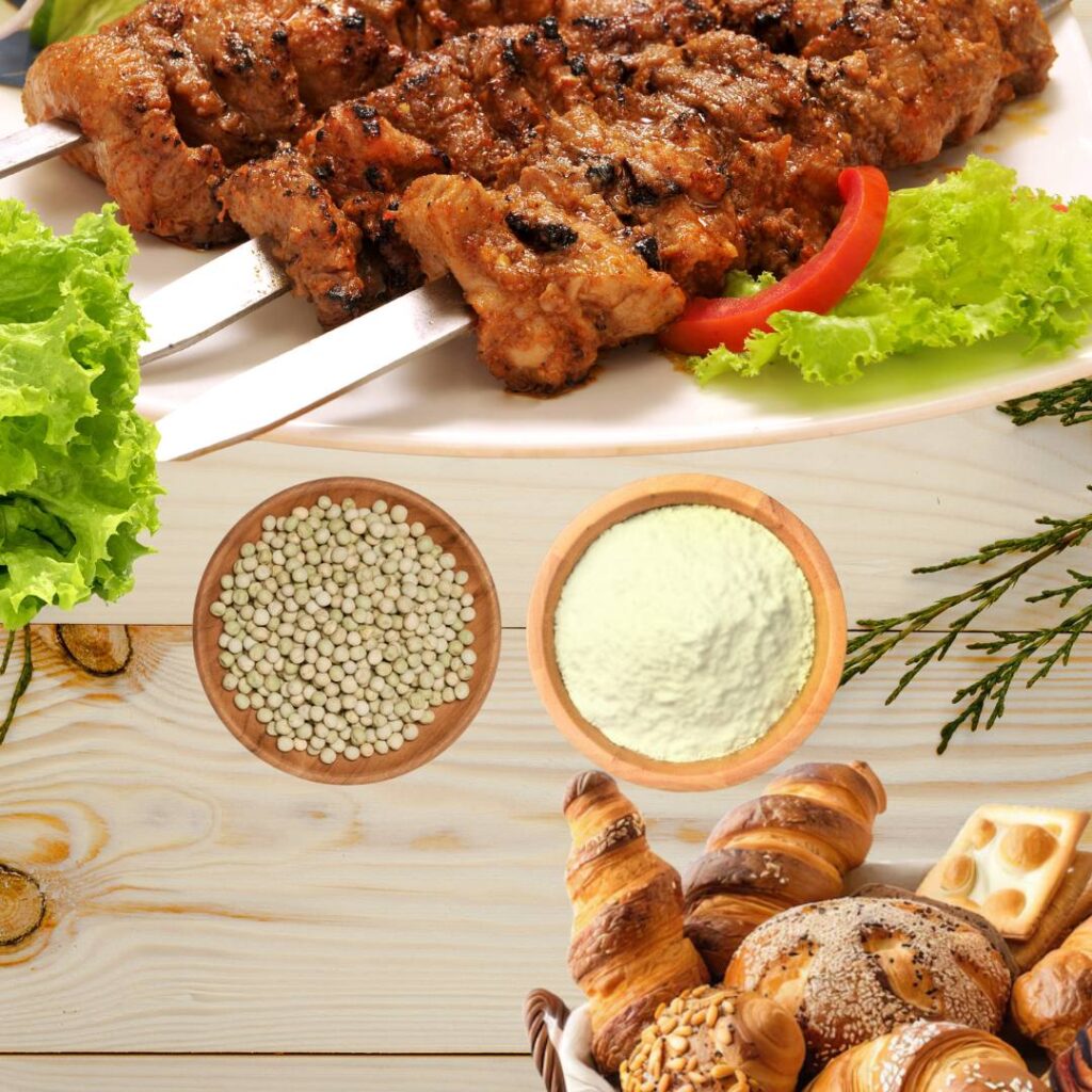 Plant-Based Protein – RELSUS